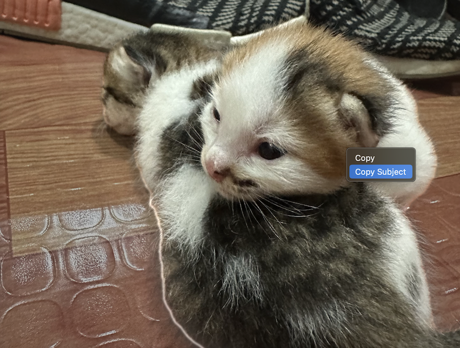 Apple macOS Ventura: Here’s How to Make Transparent PNG Images like the ...