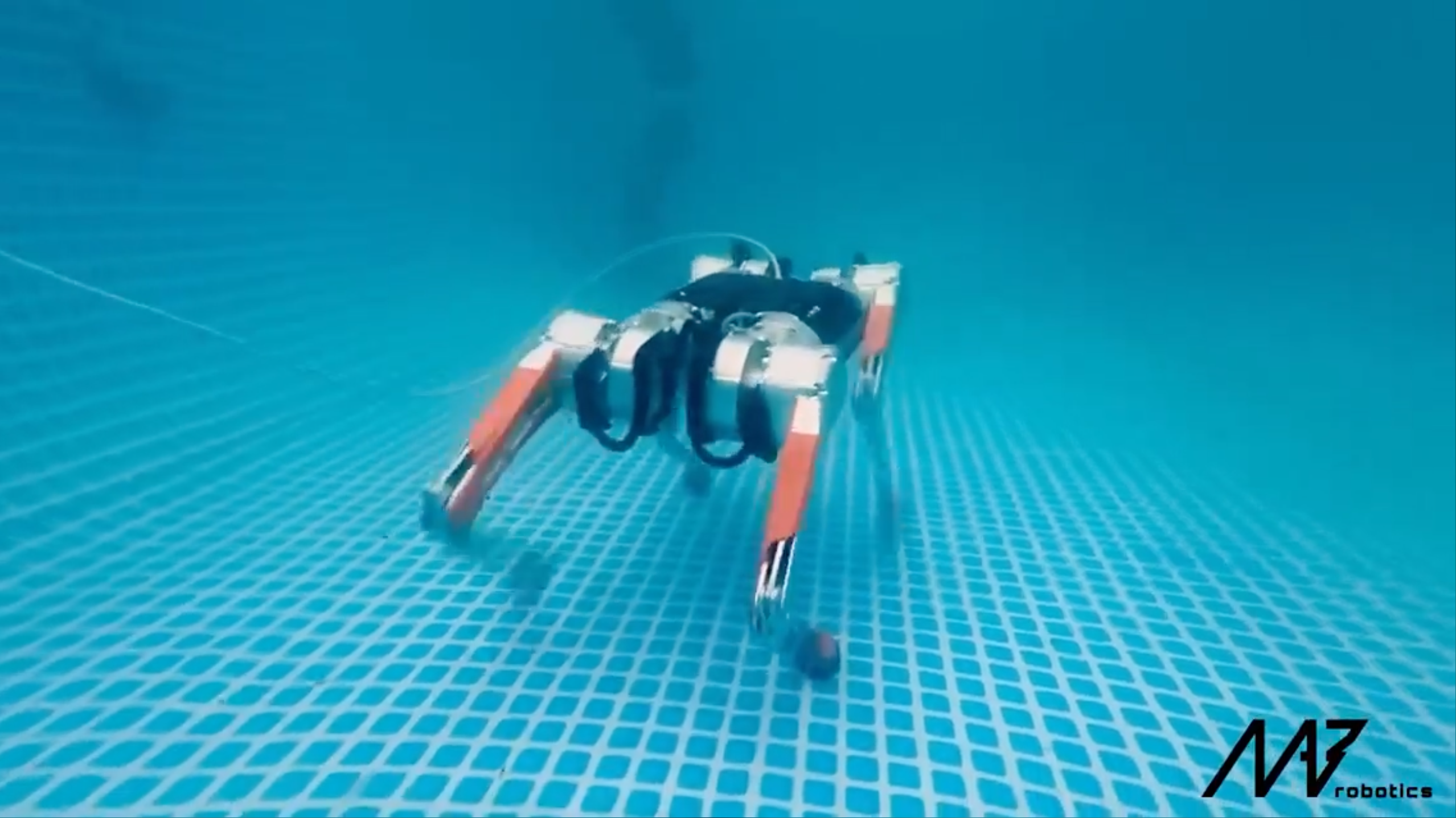 Amphibious Honey Badger Robot Dog Can Tread Land and Water, Built for ...