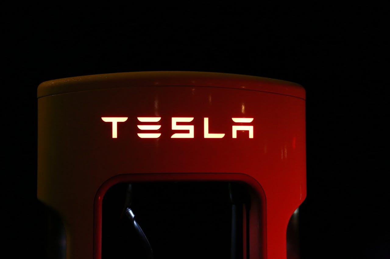 Does Tesla Have a Hidden Mascot?