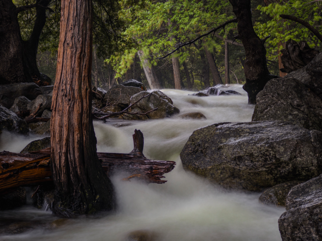 Adobe Indigo: Camera App Brings Computational Photography to iPhones ...