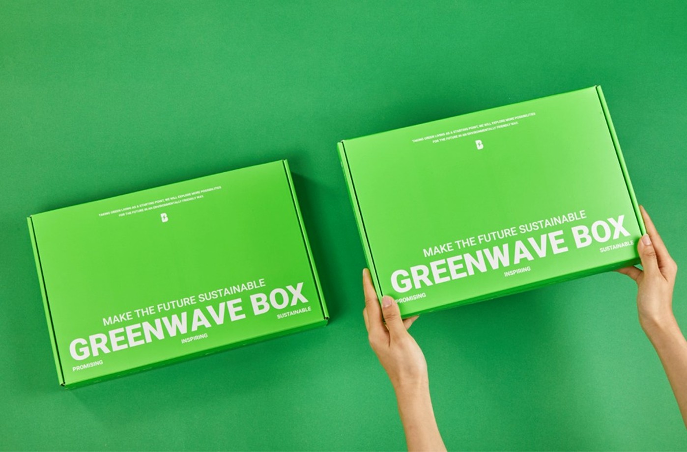 EBL Rechargeable Batteries Launch Eco-Friendly Greenwave Box