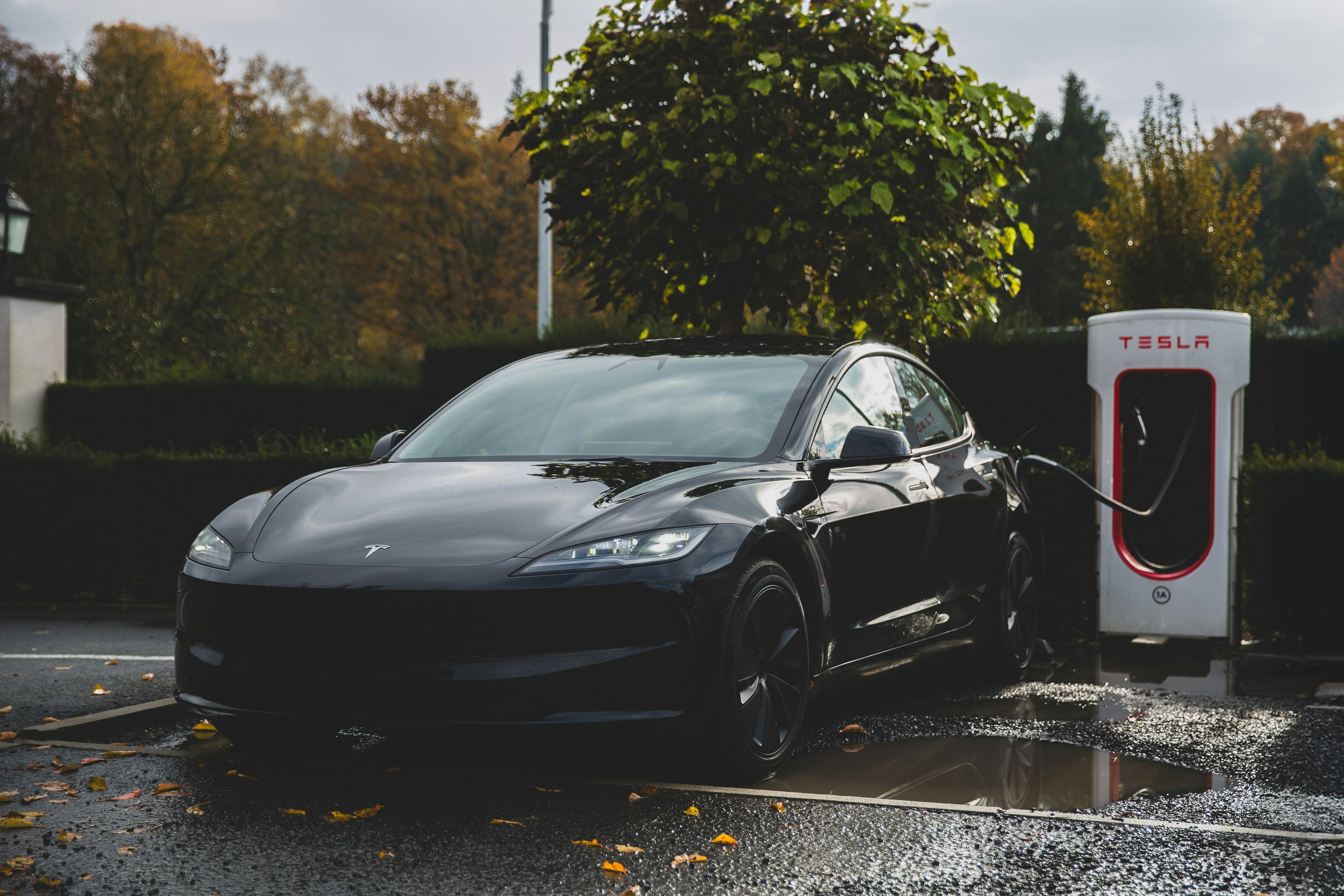Deadly Tesla Model 3 Crash: Family Files Lawsuit After Fire Traps ...