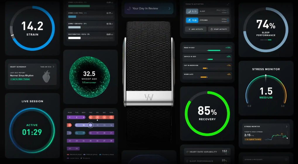 Whoop Adds Virtual Doctor Consultations, AI Health Features to Fitness App