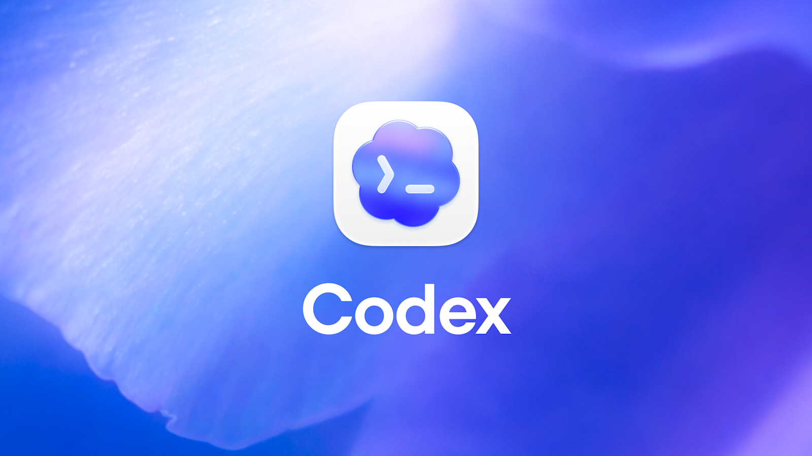 OpenAI Codex Reaches Europe With Computer Use and Memories, GPT-4.5 ...