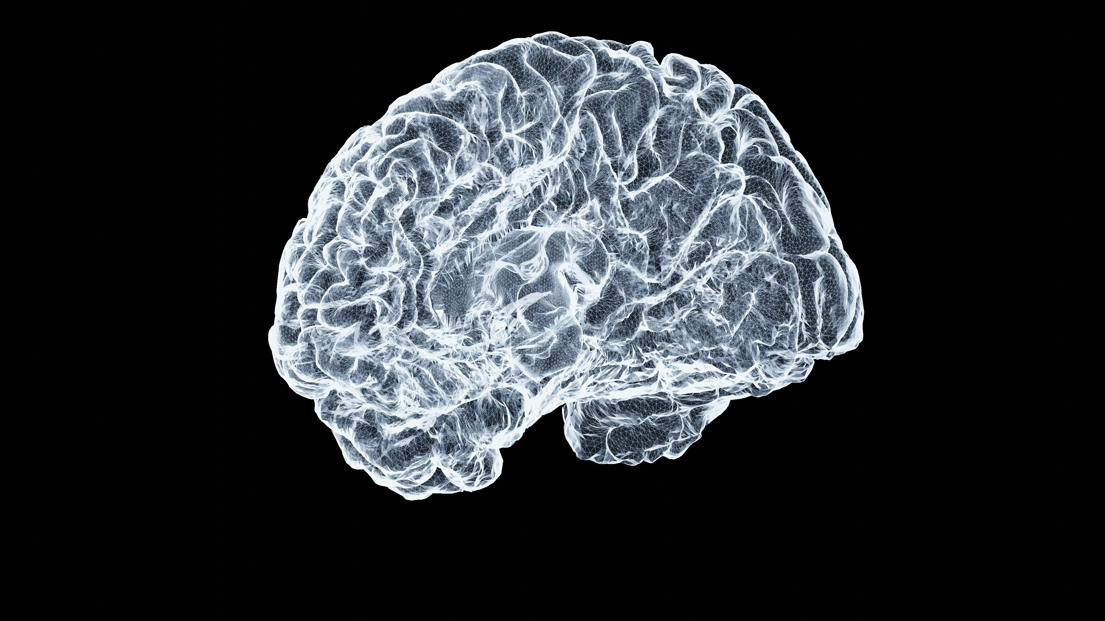 Glioblastoma Treatment: UCSF Startup Turns Brain Tumors Into Immune ...