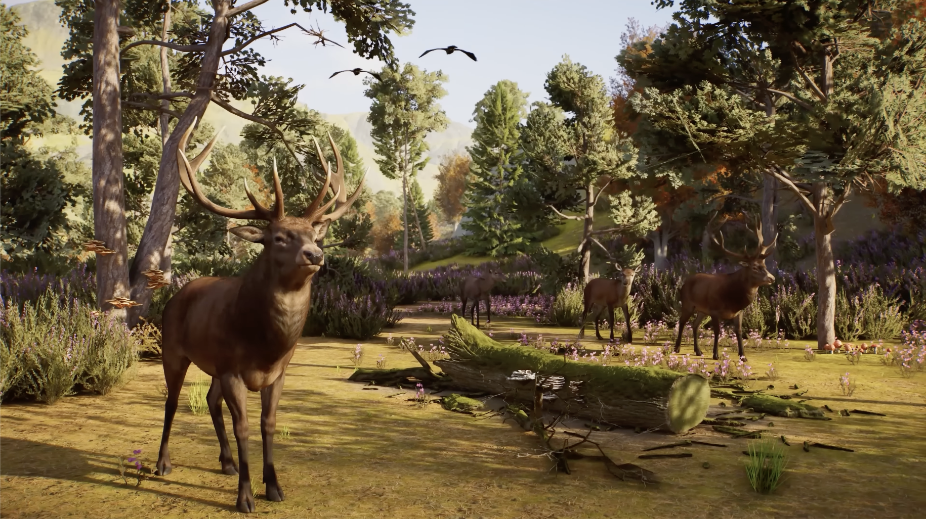 Planet Zoo 2 Moves Beyond the Zoo: Frontier Confirms Reserve Breeding ...
